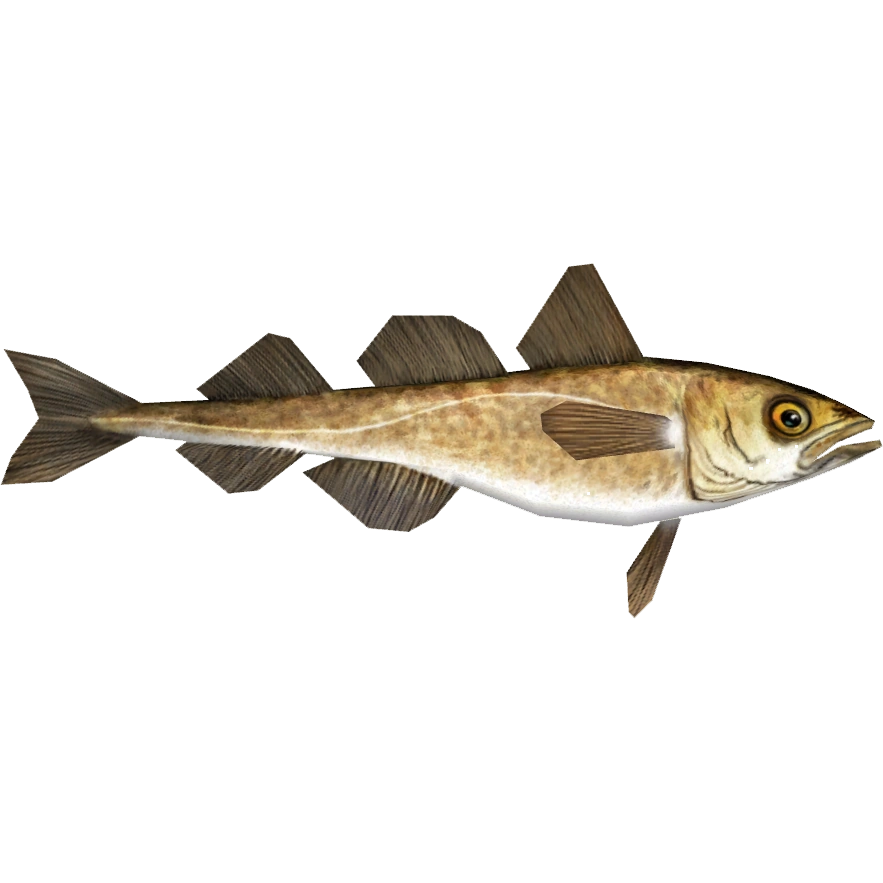 Polar Cod