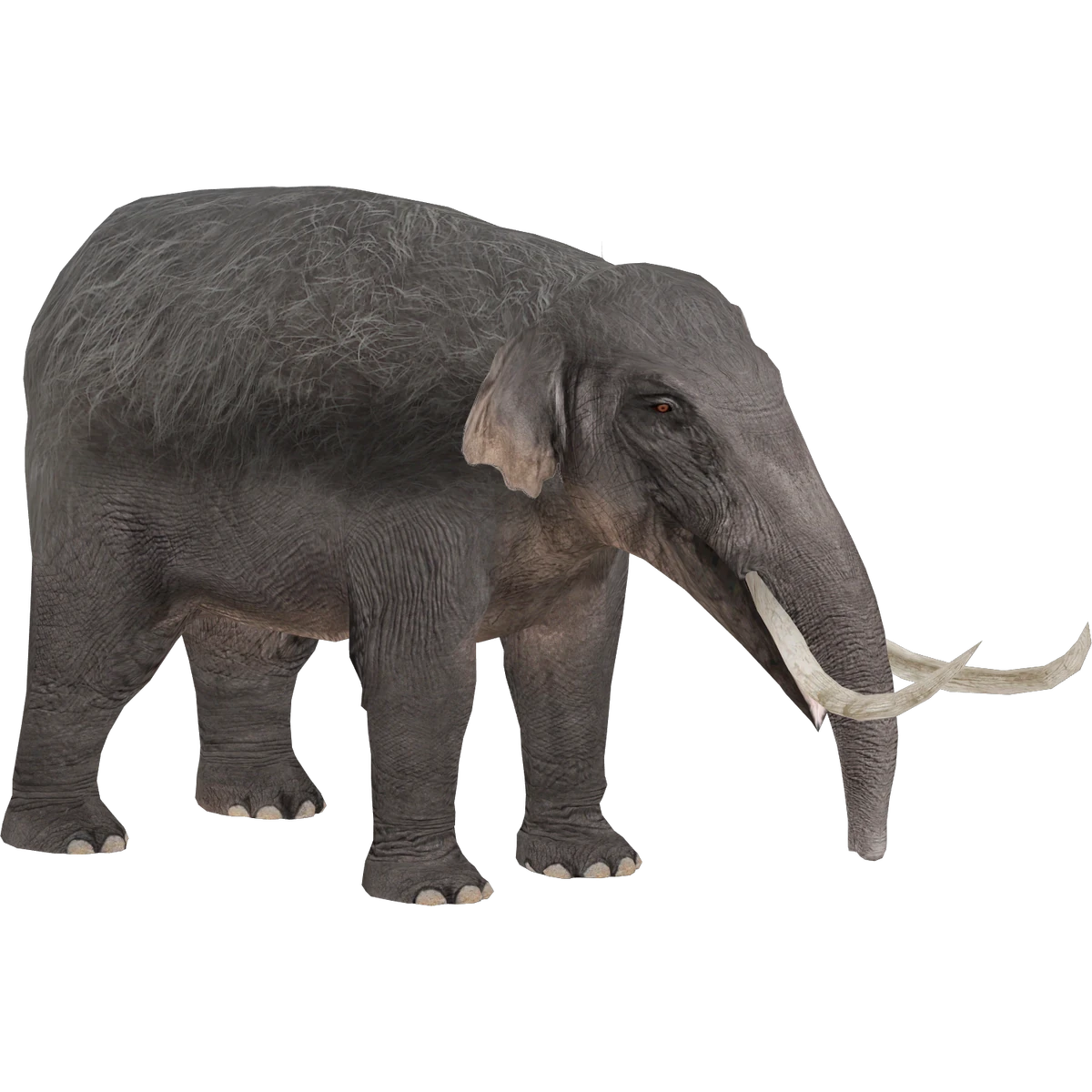 Category:Extinct Proboscideans | ZT2 Download Library Wiki | Fandom