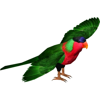 Collared Lory (MasterChief123) | ZT2 Download Library Wiki | Fandom