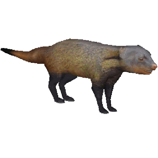 Stripe-necked Mongoose (DutchDesigns) | ZT2 Download Library Wiki | Fandom