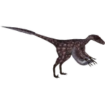 Category:Dromaeosaurs & Troodontids | ZT2 Download Library Wiki | Fandom
