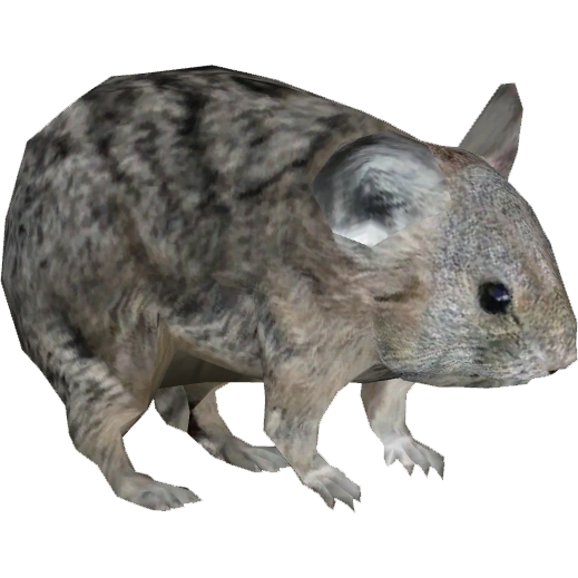 American Pika (Whalebite) | ZT2 Download Library Wiki | Fandom