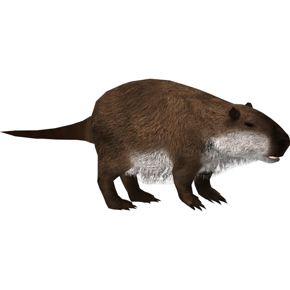 Puerto Rican Giant Hutia (Demon Hunter) | ZT2 Download Library Wiki | Fandom