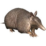 Category:Armadillos | ZT2 Download Library Wiki | Fandom