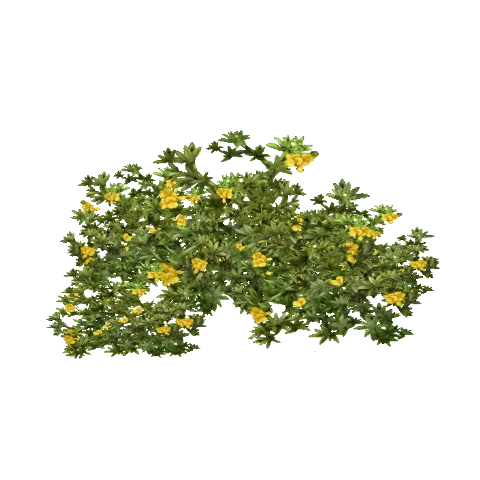 Creosote Bush (Zeta-Designs) | ZT2 Download Library Wiki | Fandom