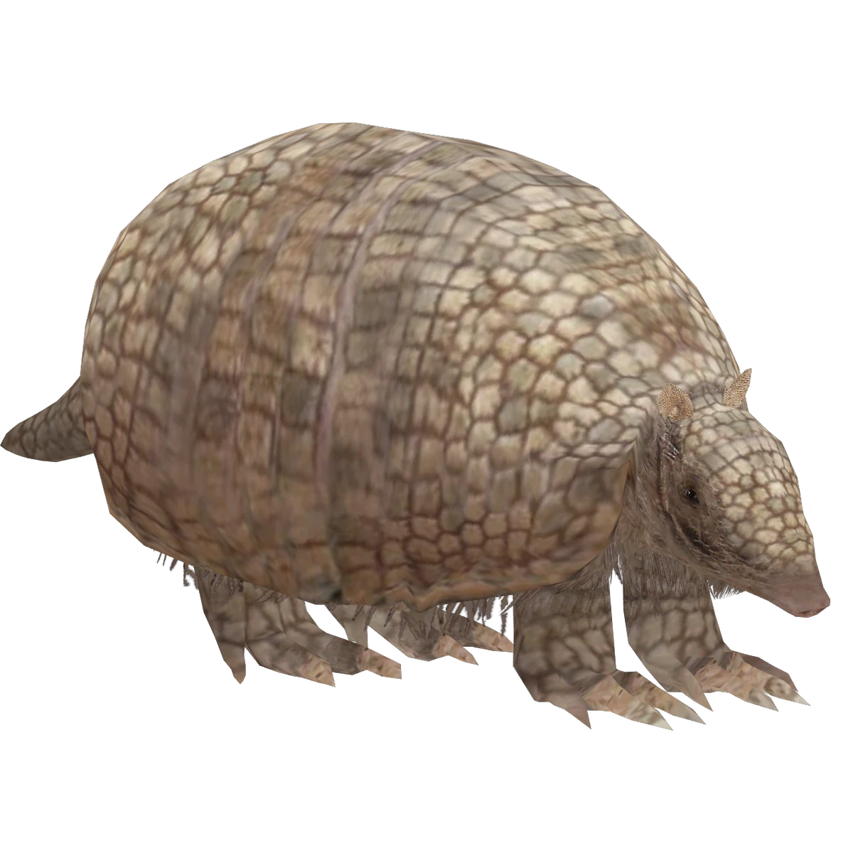 Holmesina (Demon Hunter) | ZT2 Download Library Wiki | Fandom