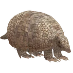 Category:Extinct Armadillos | ZT2 Download Library Wiki | Fandom
