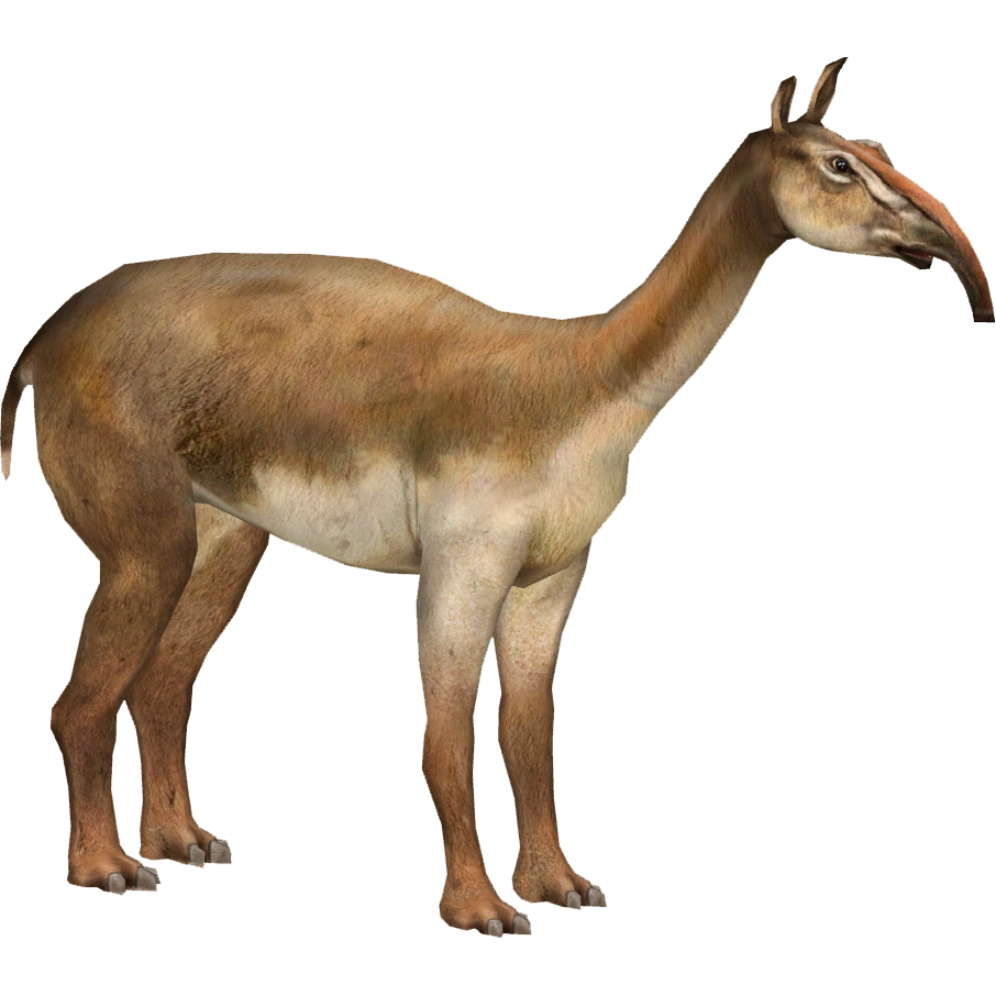 Macrauchenia (Sam) | ZT2 Download Library Wiki | Fandom