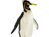Category:Extinct Penguins | ZT2 Download Library Wiki | Fandom