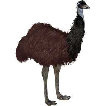 King Island Emu (HarryD28 & WorkowatyWilczek) | ZT2 Download Library ...