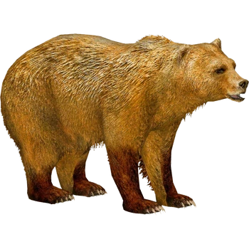 Gobi Bear (Whalebite) | ZT2 Download Library Wiki | Fandom
