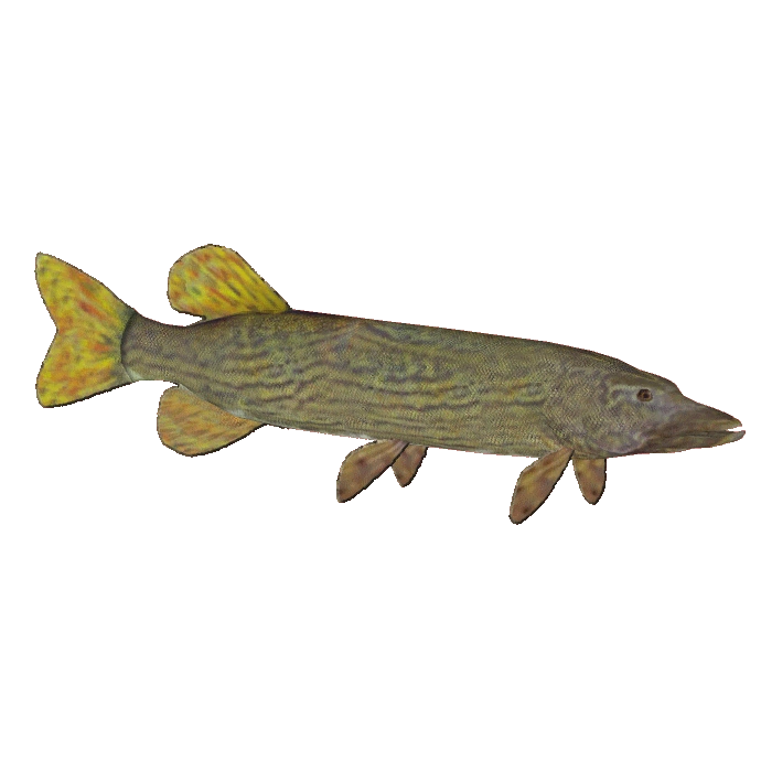 Southern Pike (Jules) | ZT2 Download Library Wiki | Fandom