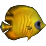 Category:Marine Fishes | ZT2 Download Library Wiki | Fandom
