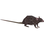 Category:Myomorphs | ZT2 Download Library Wiki | Fandom