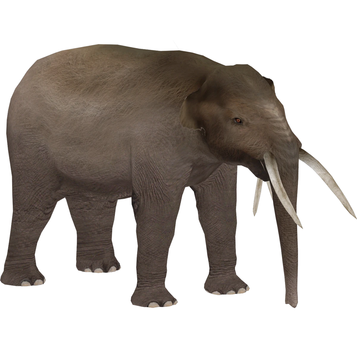 Rhynchotherium (Demon Hunter) | ZT2 Download Library Wiki | Fandom