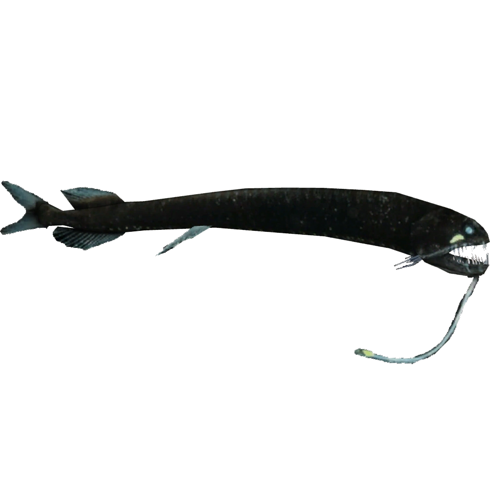 Scaleless Black Dragonfish (Whalebite) | ZT2 Download Library Wiki | Fandom