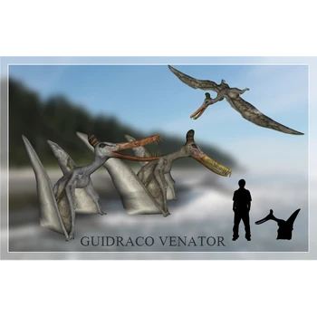 Guidraco (Lazardi) | ZT2 Download Library Wiki | Fandom