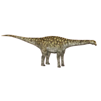 Borealosaurus (HENDRIX) | ZT2 Download Library Wiki | Fandom