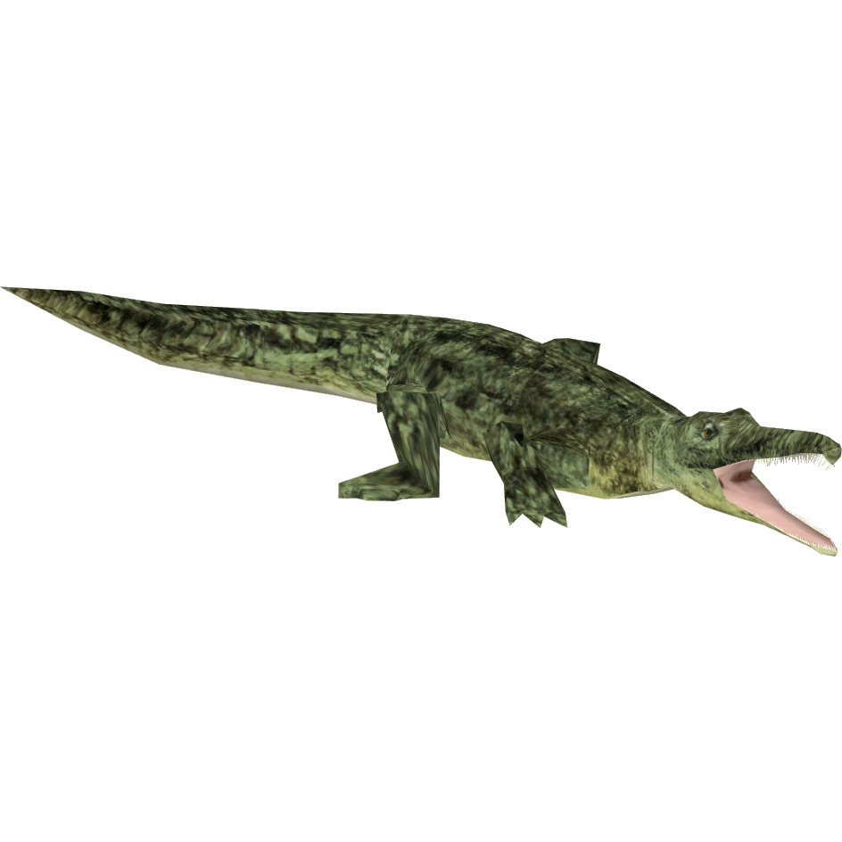 Proterosuchus