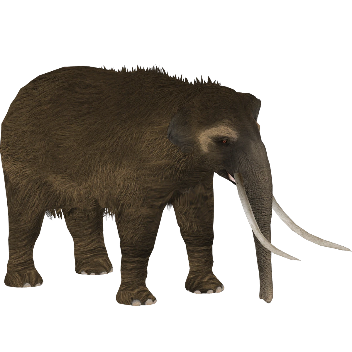 Dwarf Flores Stegodon (Demon Hunter) | ZT2 Download Library Wiki | Fandom