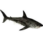 Category:Miocene Animals | ZT2 Download Library Wiki | Fandom