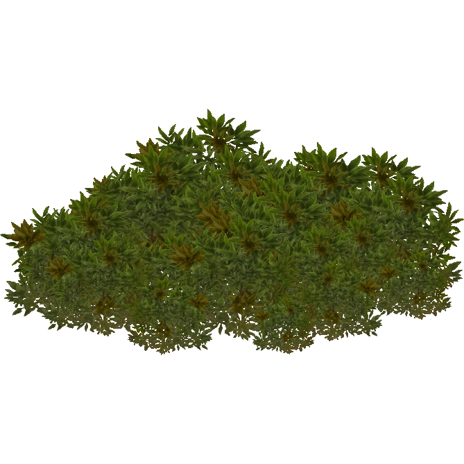 Antarctic Pearlwort (Zeta-Designs) | ZT2 Download Library Wiki | Fandom