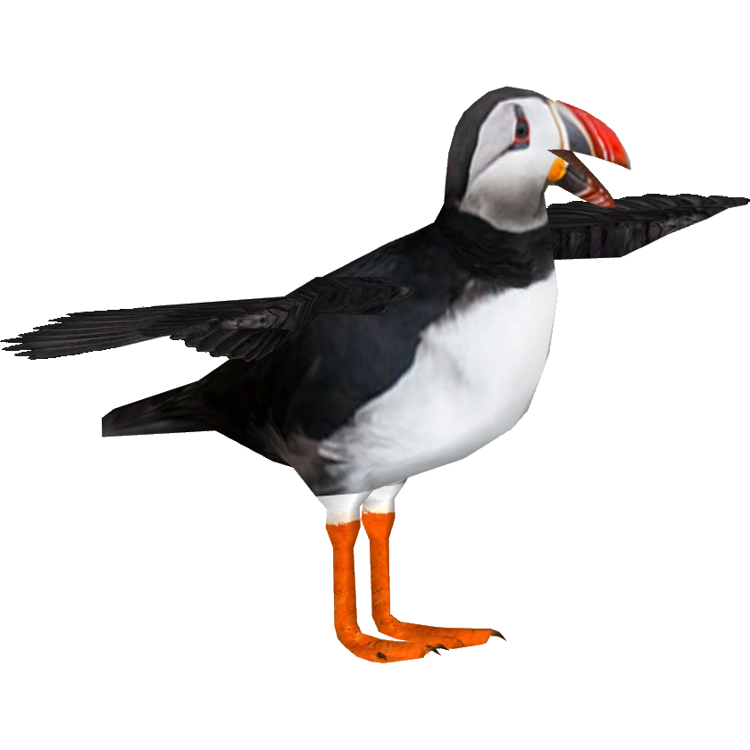 Puffin Transparent