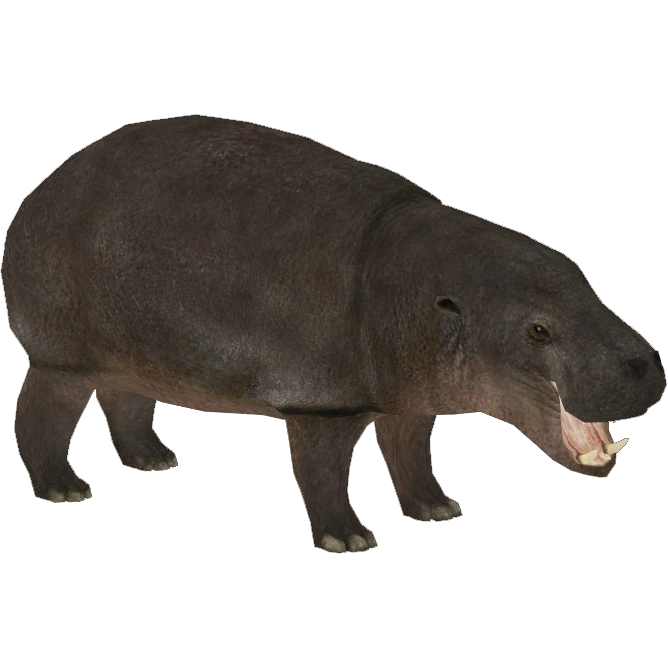 Pygmy Hippopotamus (Demon Hunter) | ZT2 Download Library Wiki | Fandom