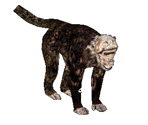 Apidium (BRR) | ZT2 Download Library Wiki | Fandom