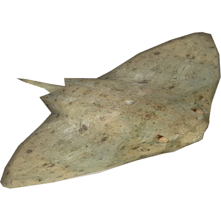 Spiny Butterfly Ray (Imago) | ZT2 Download Library Wiki | Fandom