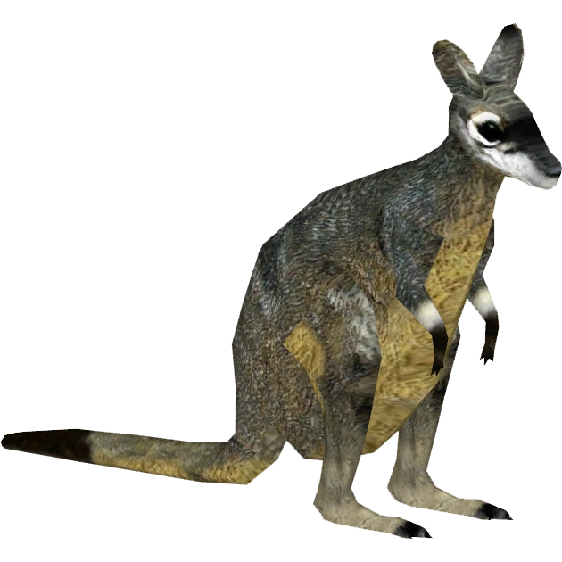 Western Brush Wallaby (Tamara Henson) | ZT2 Download Library Wiki | Fandom