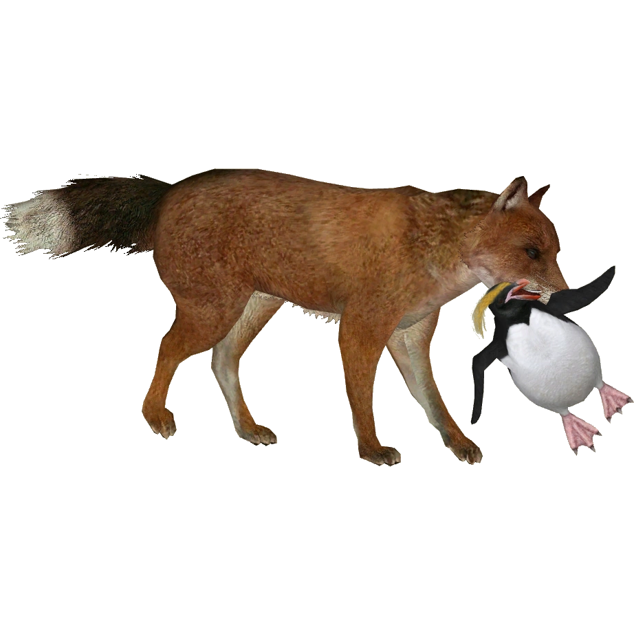 Warrah Specimen (Whalebite) | ZT2 Download Library Wiki | Fandom