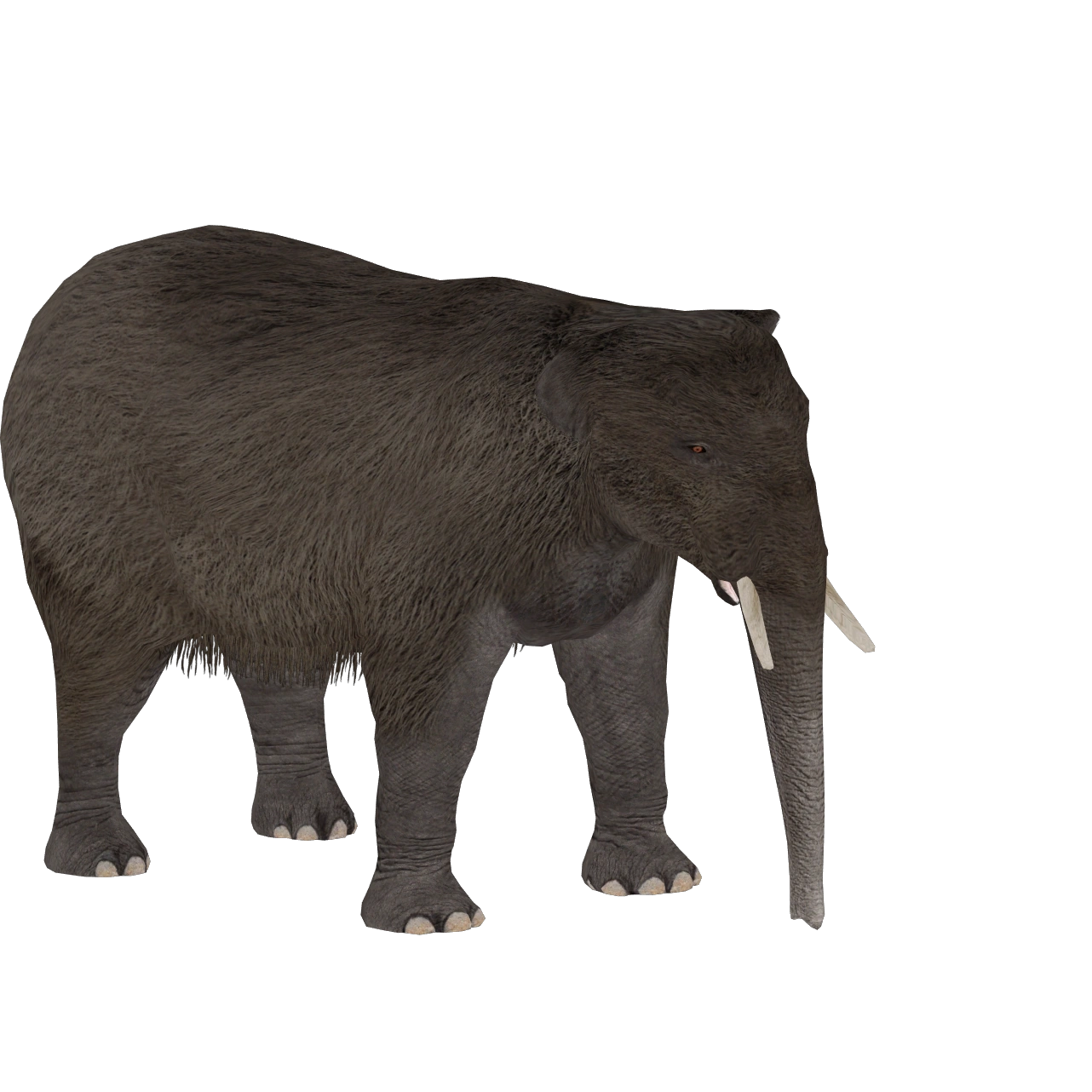 Zoo Tycoon 2 Radical Remake Elephant