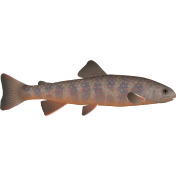 Whitespotted Char (iR-Willow) | ZT2 Download Library Wiki | Fandom