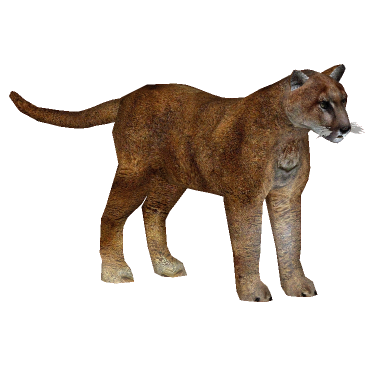 Puma (Sim'Z) | ZT2 Download Library Wiki | Fandom