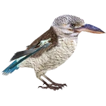 Category:2022 | ZT2 Download Library Wiki | Fandom