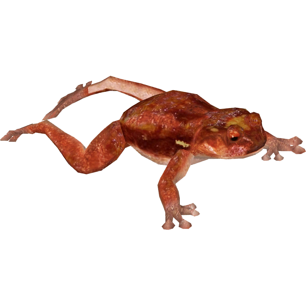 Fiji Ground Frog (Tamara Henson) | ZT2 Download Library Wiki | Fandom