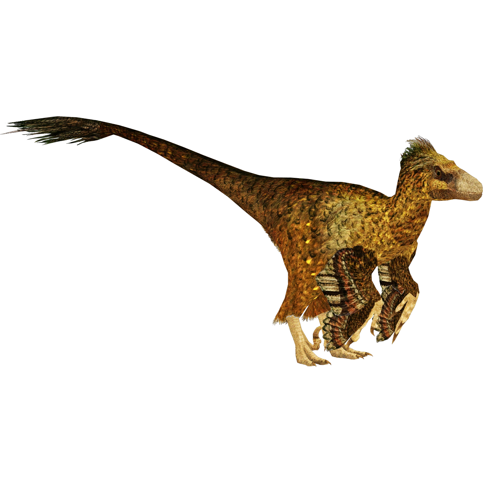 Hesperonychus