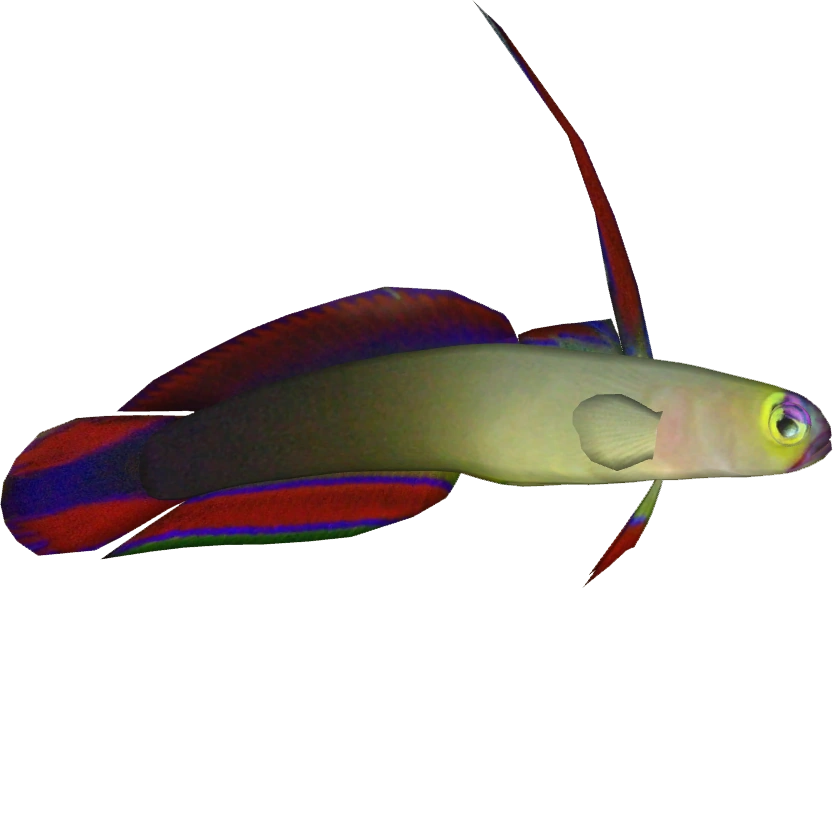 Purple Fire Goby (Dycki1231) | ZT2 Download Library Wiki | Fandom