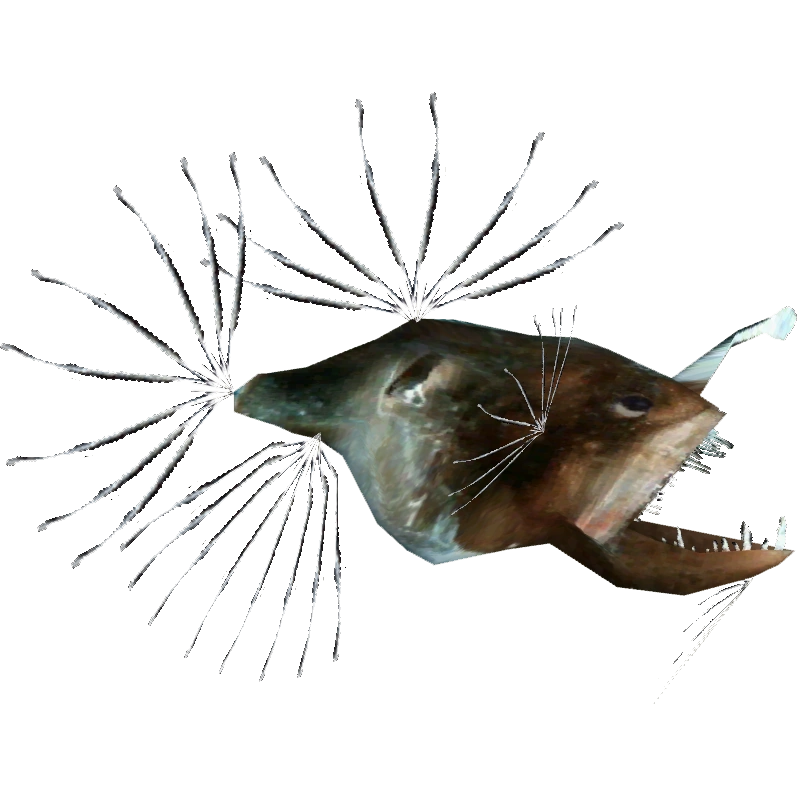 Category:Anglerfish | ZT2 Download Library Wiki | Fandom