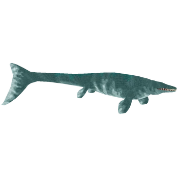Moanasaurus (Whalebite) | ZT2 Download Library Wiki | Fandom