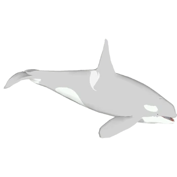 Resident Orca (ObsidianAngst) | ZT2 Download Library Wiki | Fandom