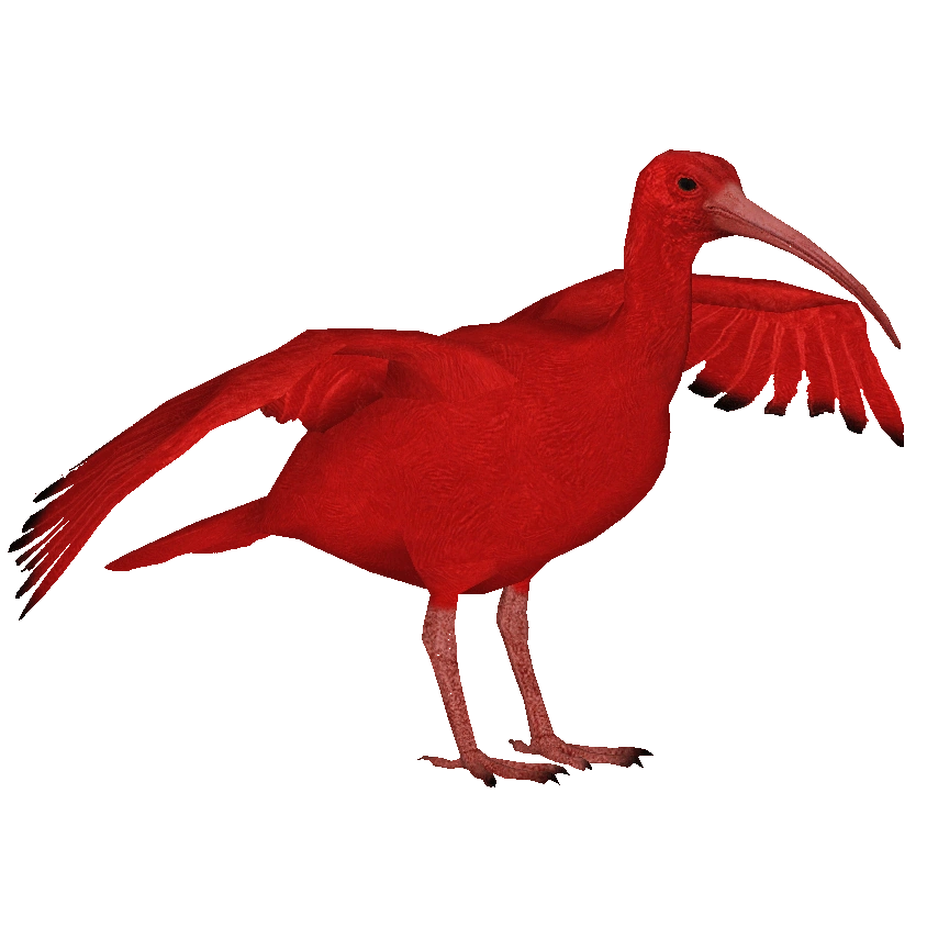 Scarlet Ibis (Dacentru & Maks) | ZT2 Download Library Wiki | Fandom