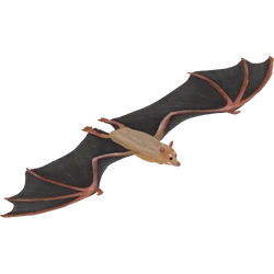 wikipedia mega bats coloring pages