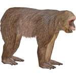 Category:Old World Monkeys | ZT2 Download Library Wiki | Fandom