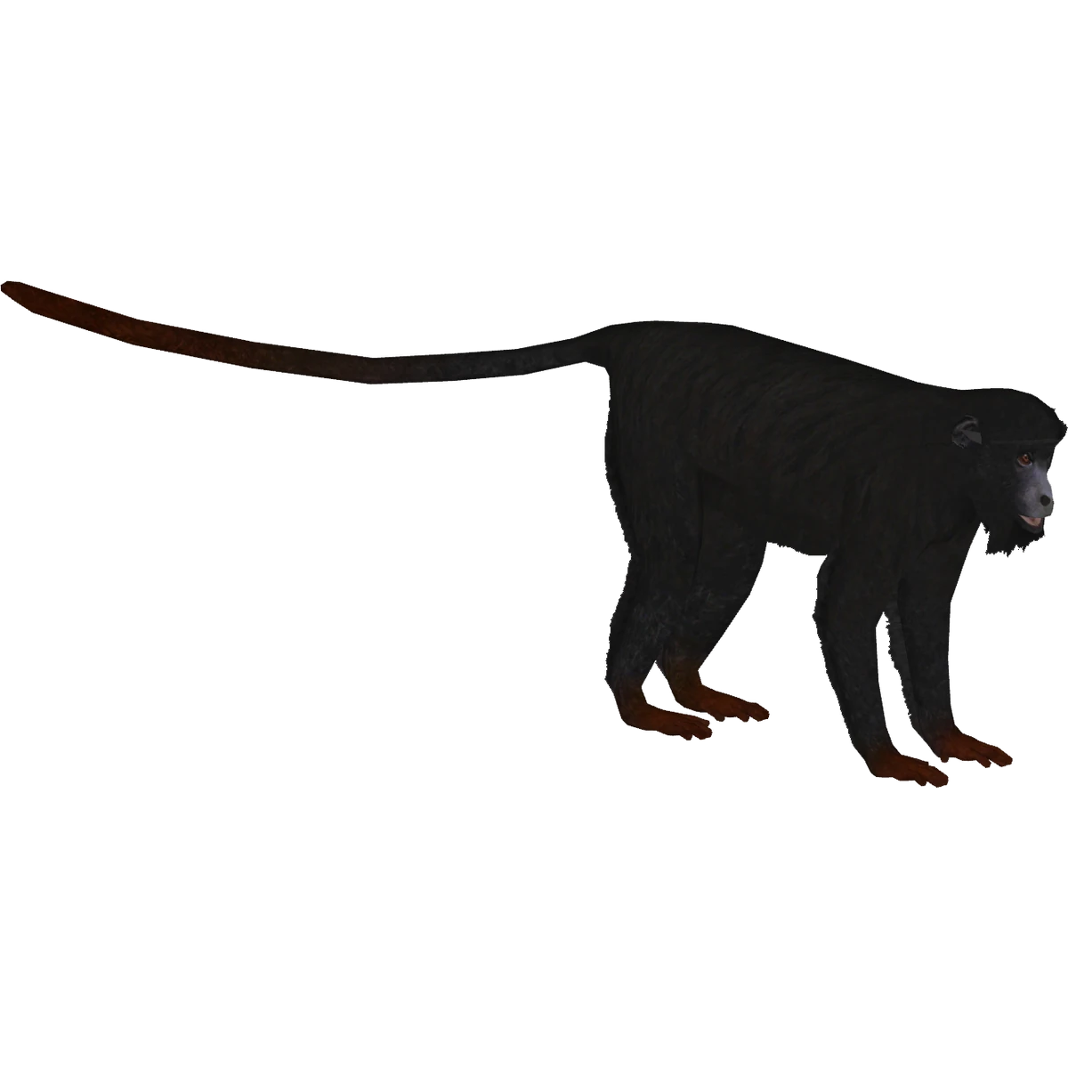 Red-handed Howler Monkey (Bunteriro) | ZT2 Download Library Wiki | Fandom