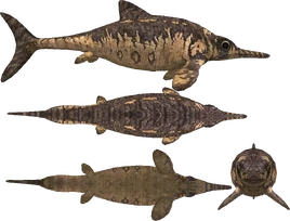 Ophthalmosaurus (HENDRIX) | ZT2 Download Library Wiki | Fandom