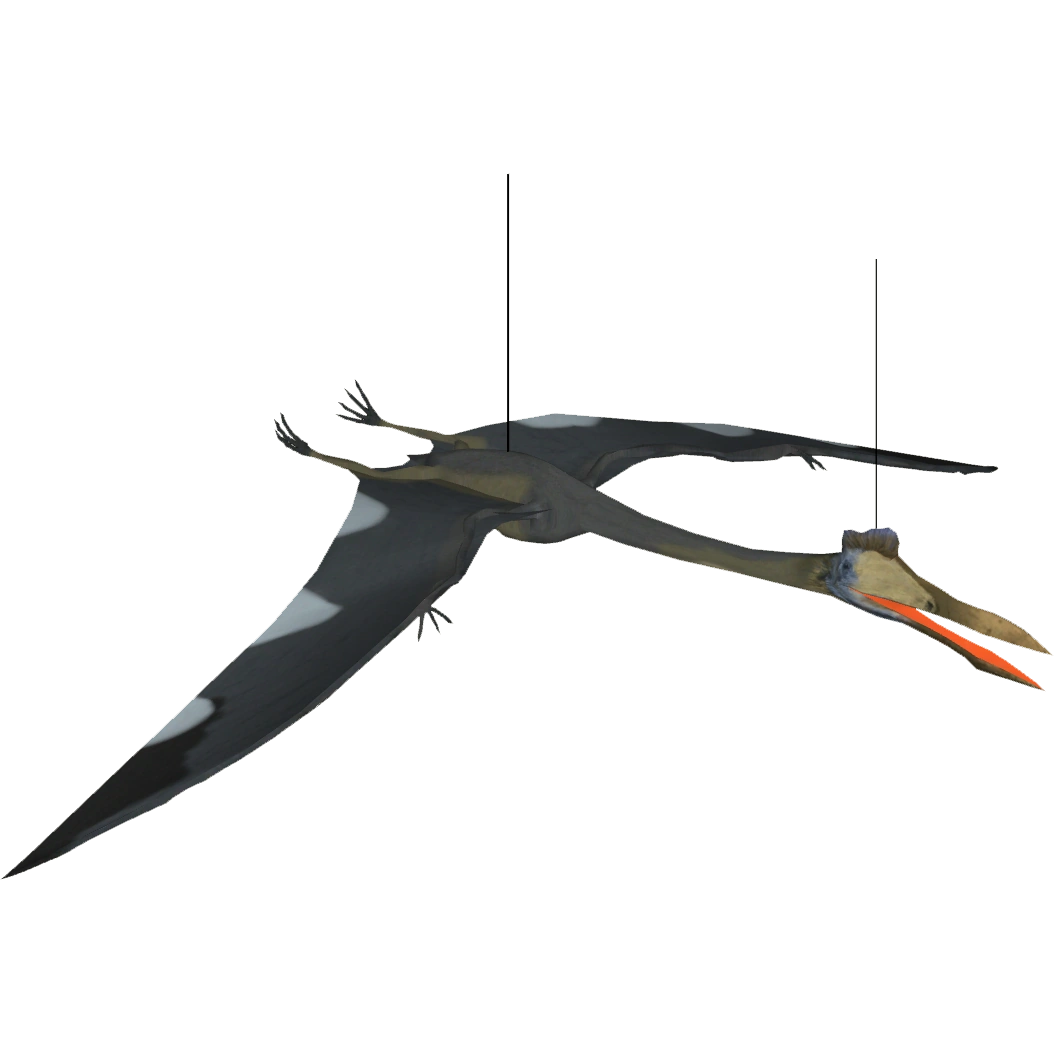 Pterosaur Model (Whalebite) | ZT2 Download Library Wiki | Fandom