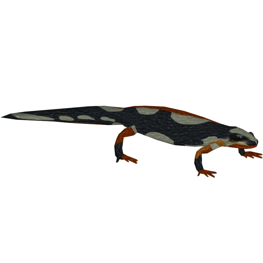 Kaiser's Spotted Newt (Whalebite) | ZT2 Download Library Wiki | Fandom