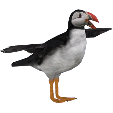 Atlantic Puffin (ZTABC Team) | ZT2 Download Library Wiki | Fandom